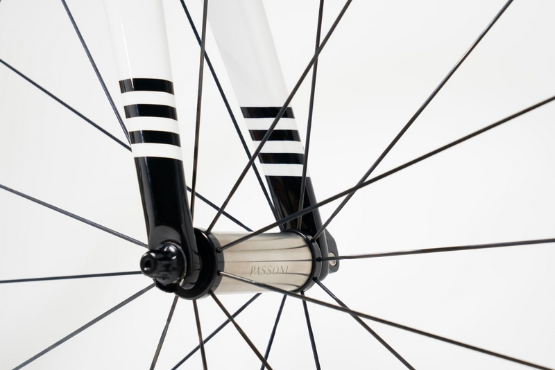 Passoni Titanio : Titanium Bike